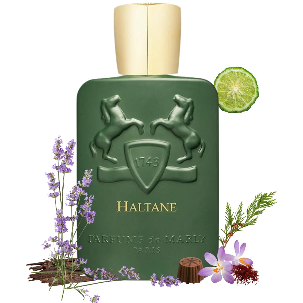 Haltane Eau De Parfum – MAPOLENE